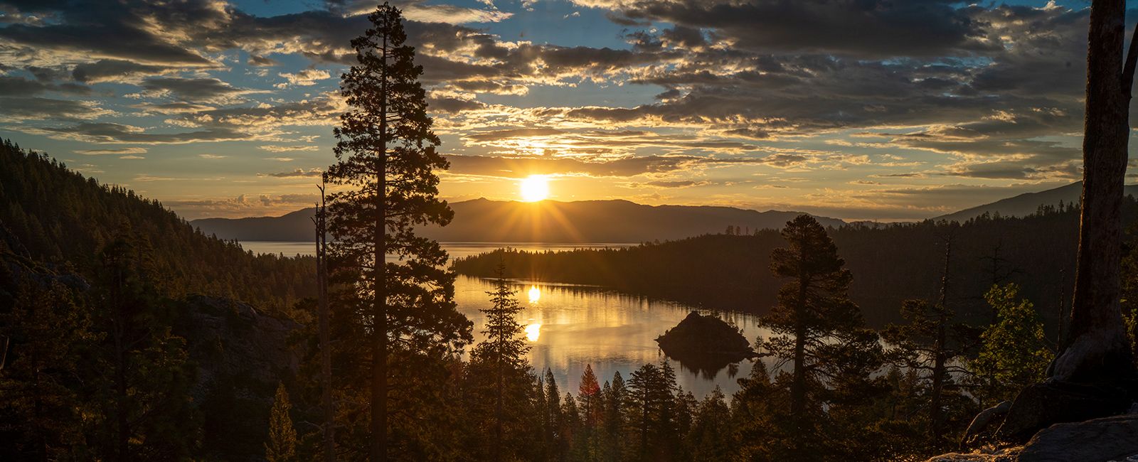 Association of American Universities (AAU)