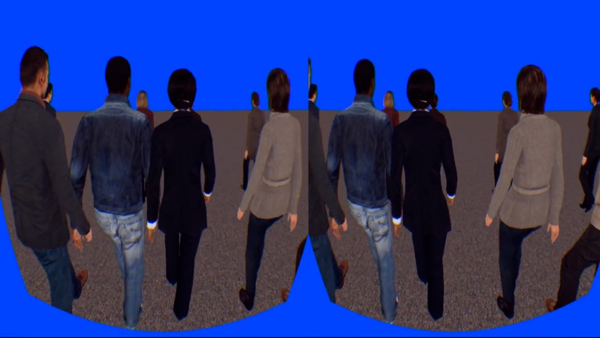 Seen and ‘herd’: Collective motion in crowds is largely determined by ...