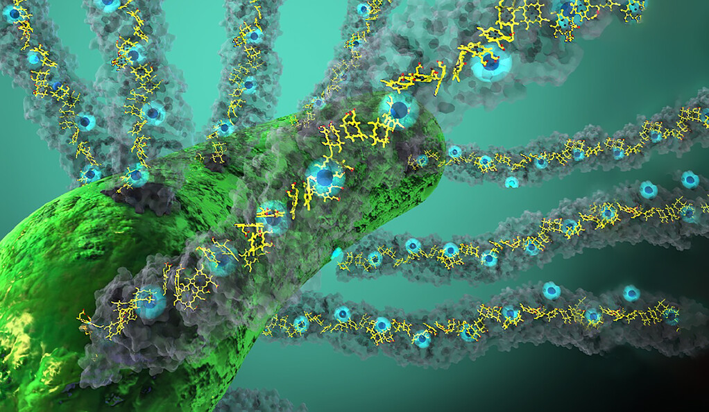 Light accelerates conductivity in nature’s ‘electric grid ...