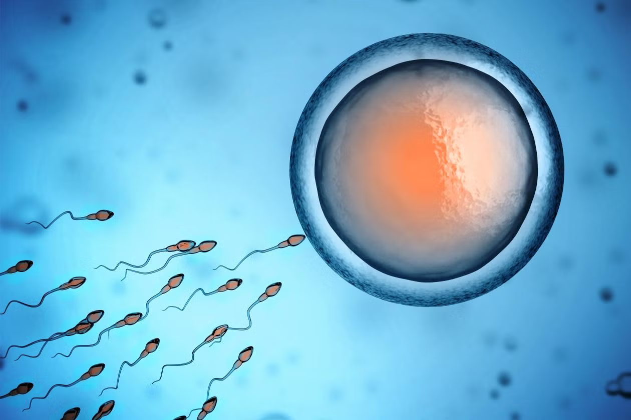 Scientists discover how a naturally occurring mechanism hampers ...
