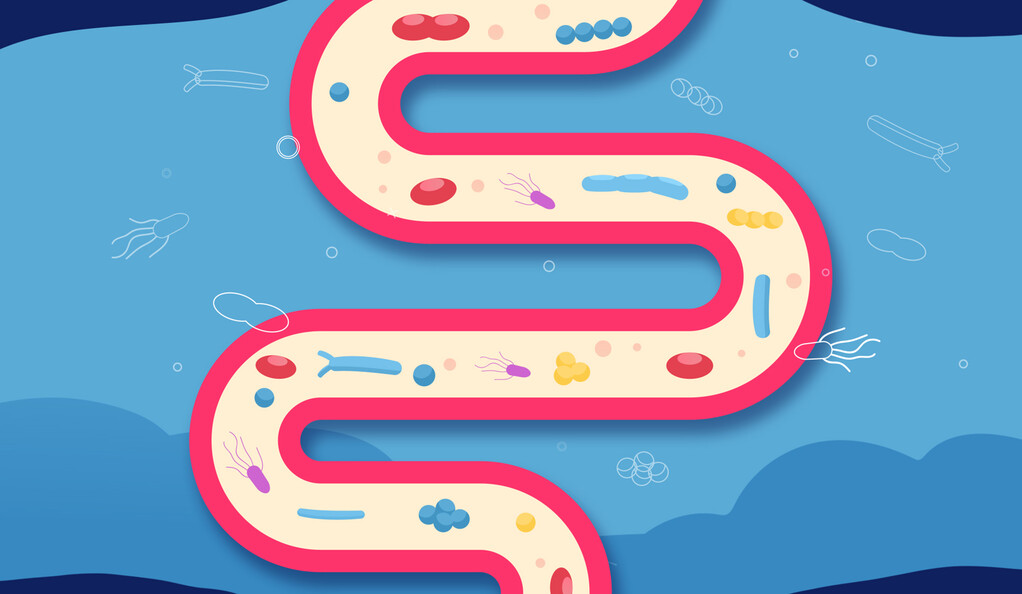How gut microbes can evolve and become dangerous | Association of ...